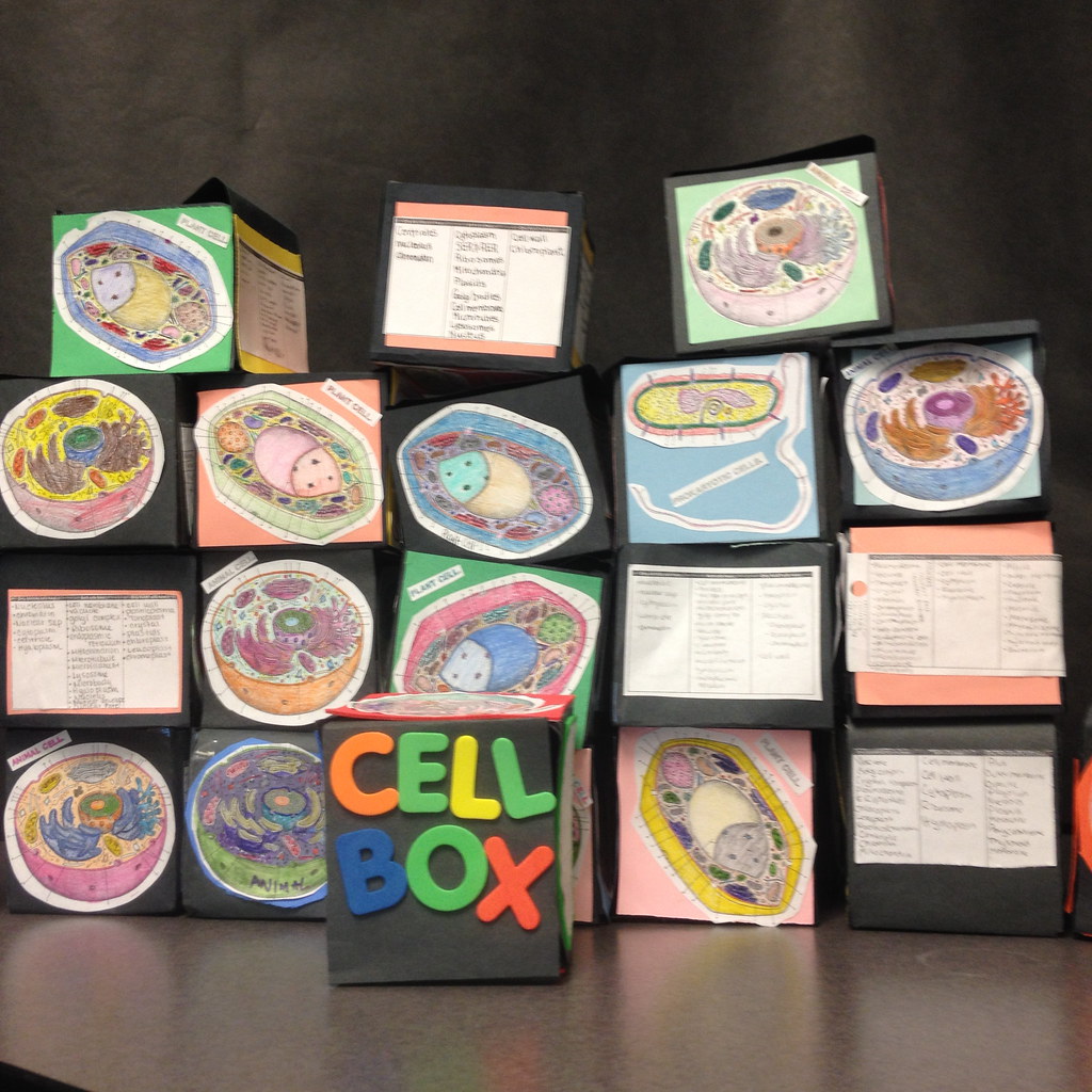 What's in a Cell? | Create WebQuest